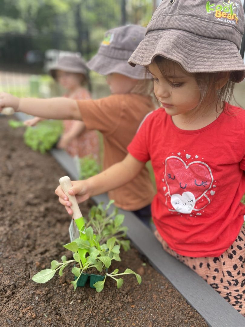 Early Childhood Education Centres - Kool Beanz Academy